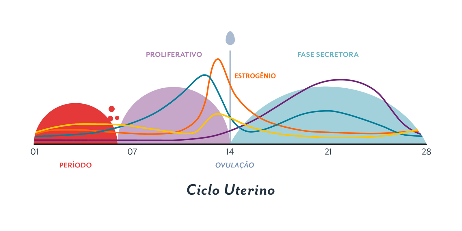 Corrimento vaginal: o que é normal? - Instituto Villamil